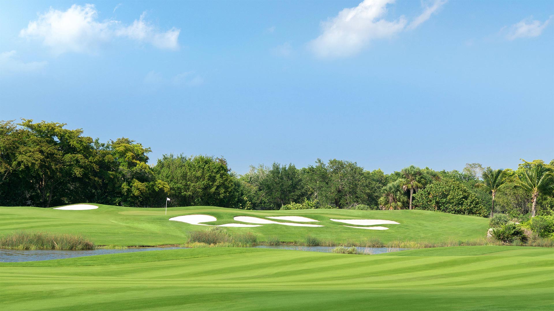 ⛳️ The Rookery Course