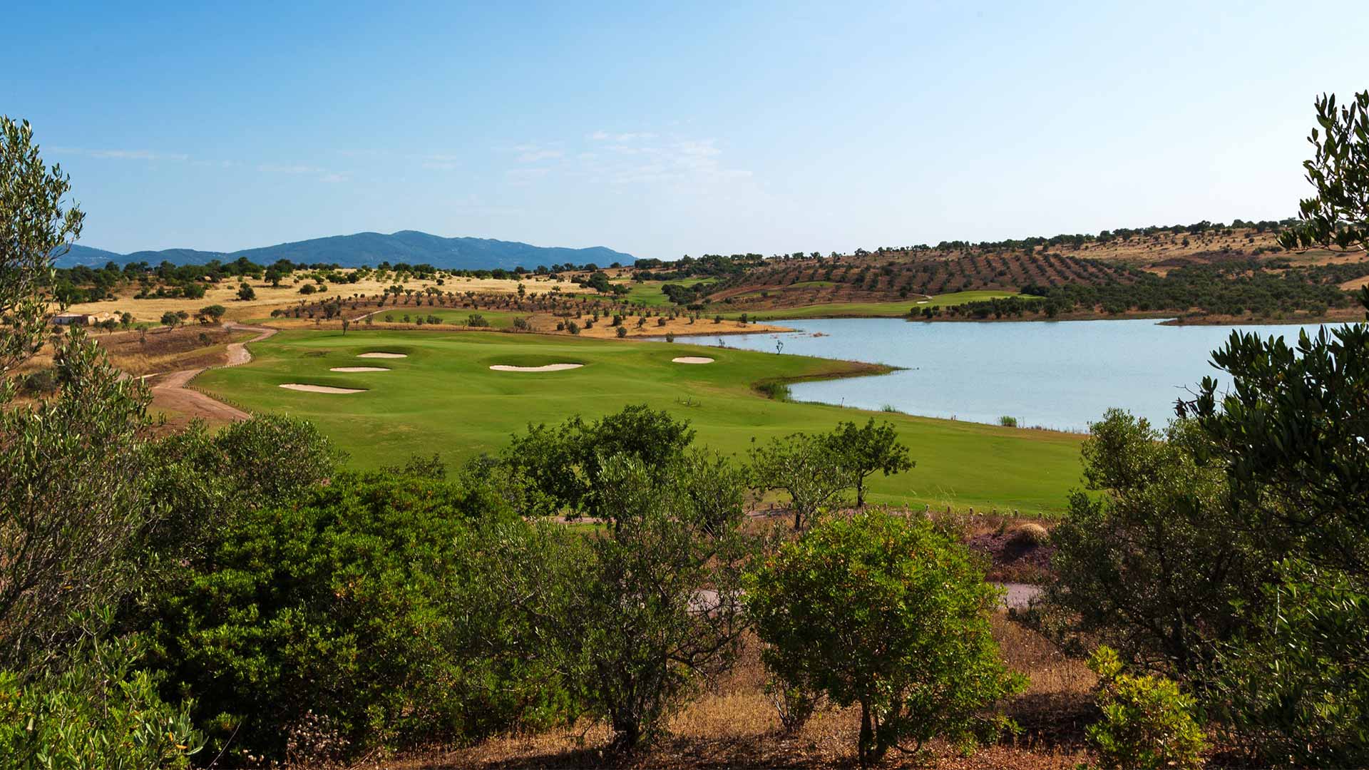 ⛳️ Alamos Golf Course